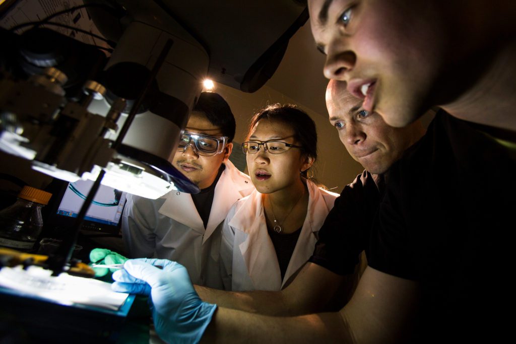 Michigan Engineering | University of Michigan