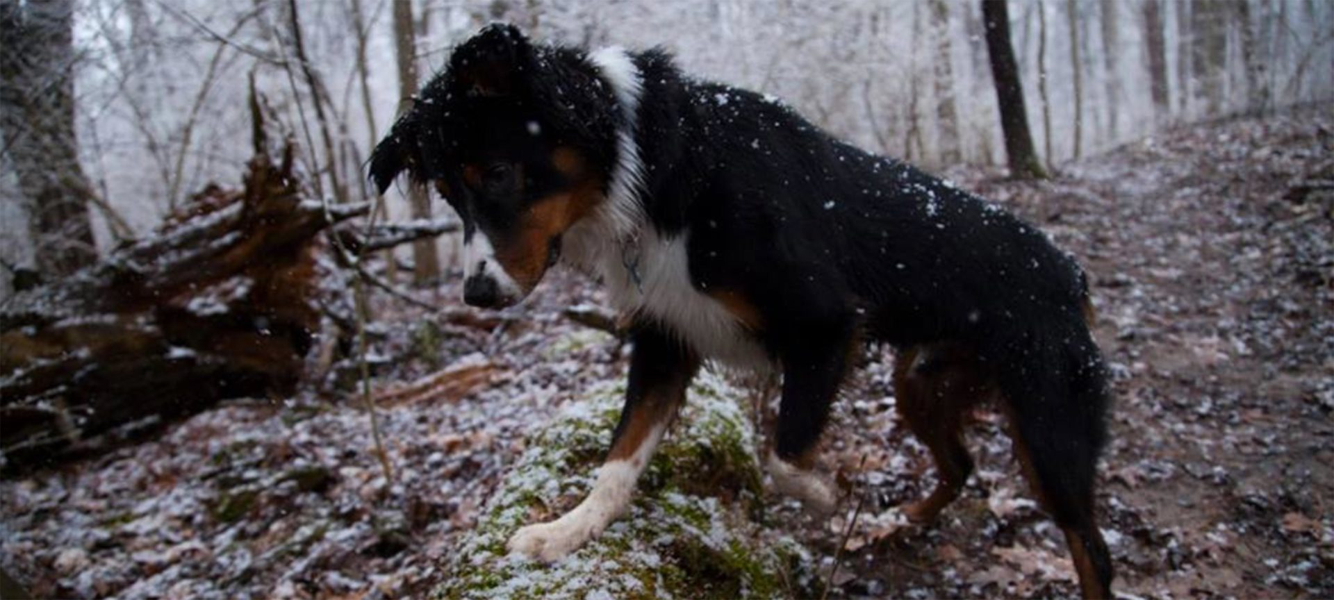 April 2017 – Michigan Engineering | University of Michigan